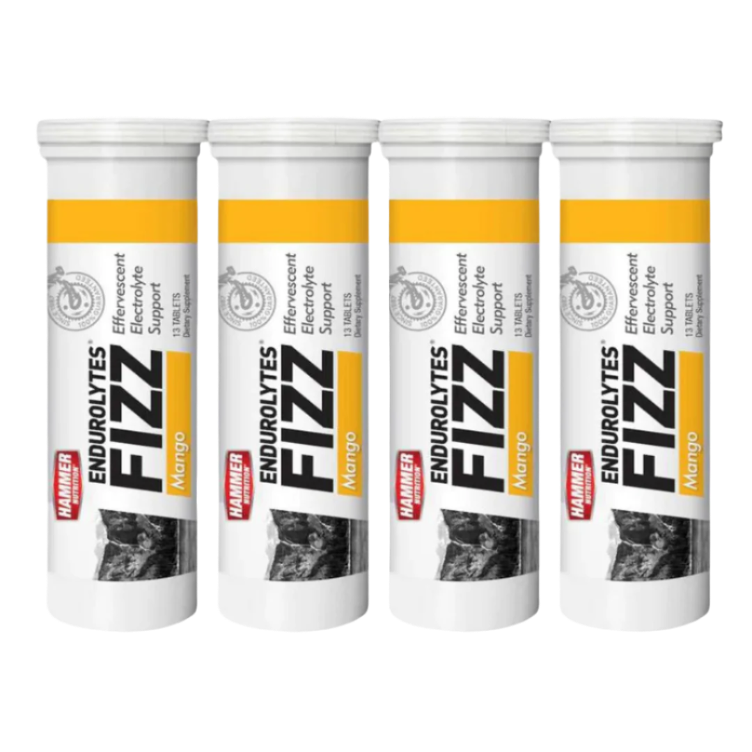 Hammer Nutrition Endurolytes Fizz | Sports Hydration | Aid Station